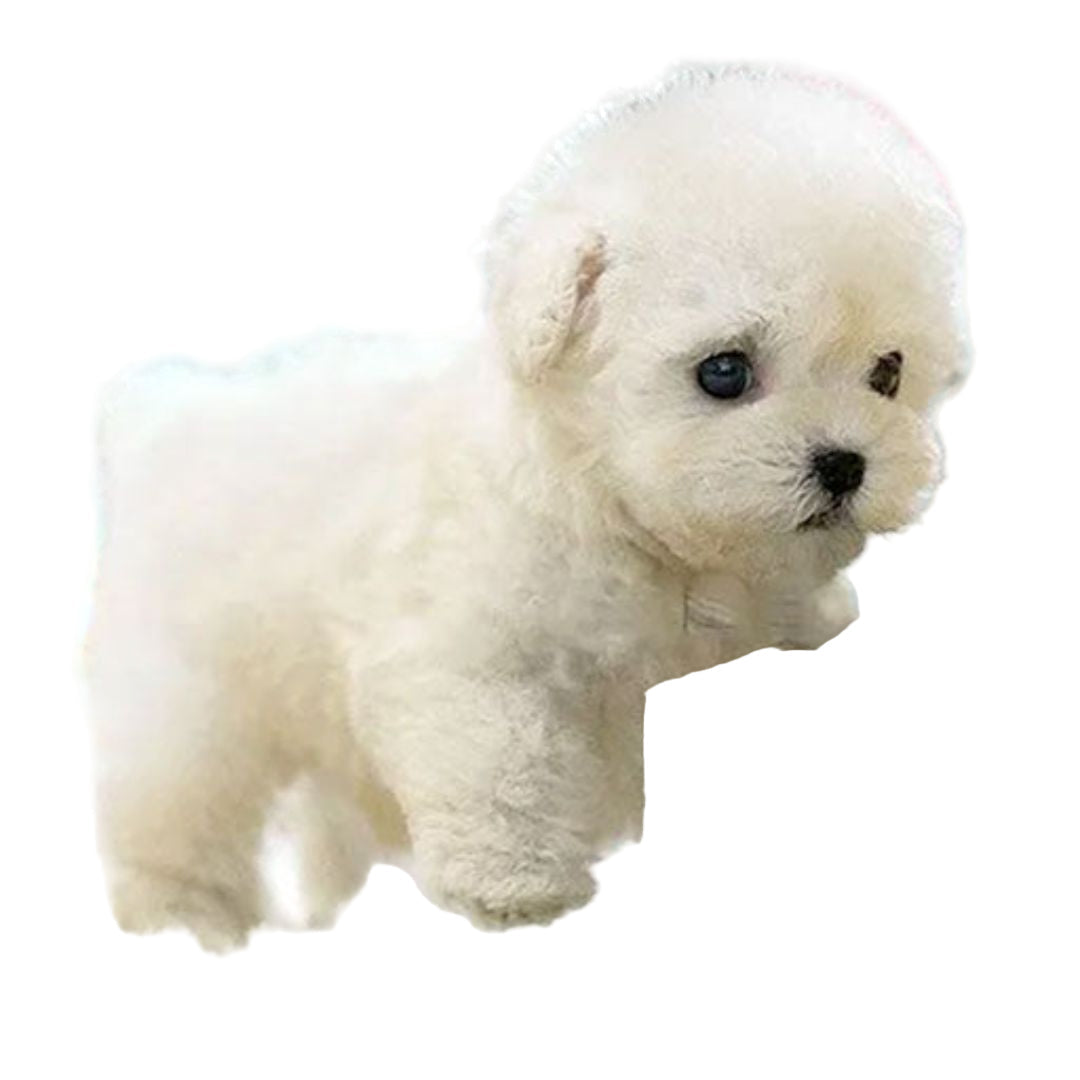 Interactive plush dog with realistic details and smooth movements, des ...